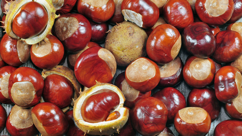 L’usage du calendrier des marronniers dans le métier de Community ...